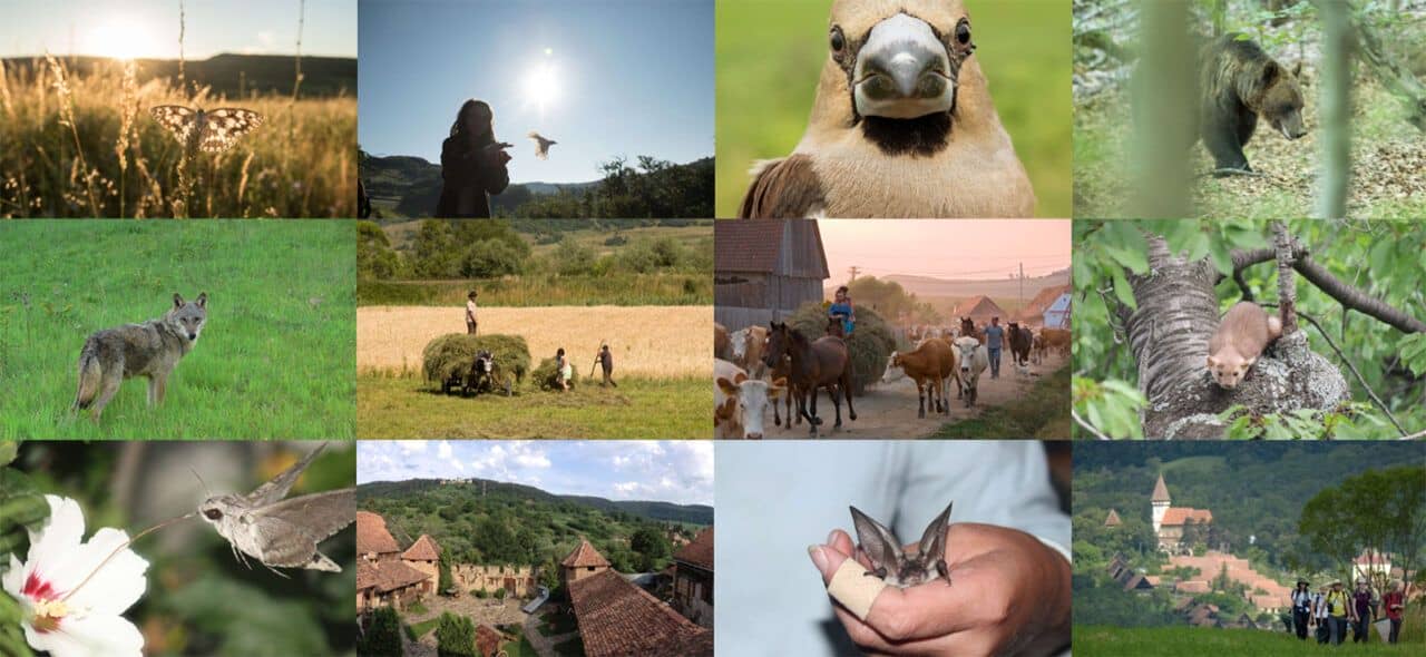 Operation Wallacea - St Aloysius College